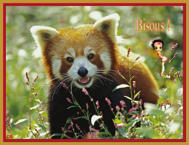 Tous les animaux(sauvages et domestiques) photos et textes....