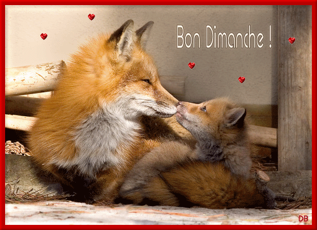 Tous les animaux(sauvages et domestiques) photos et textes....